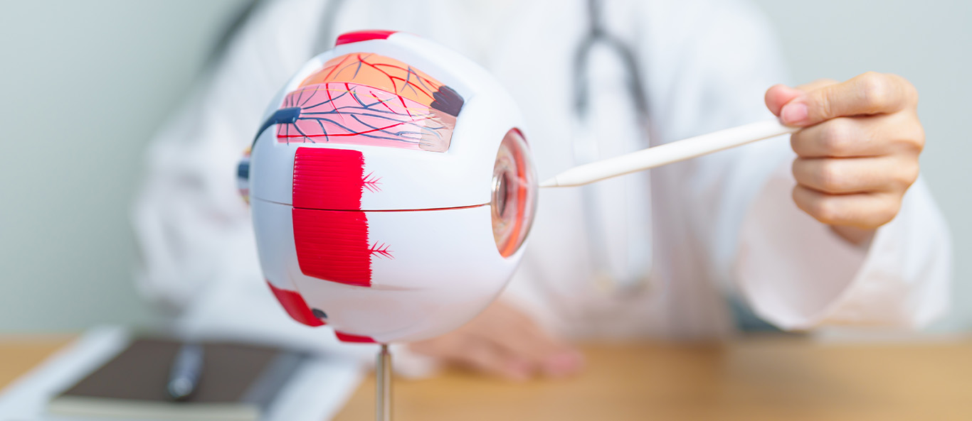 About Us | Total Eye Care Centers