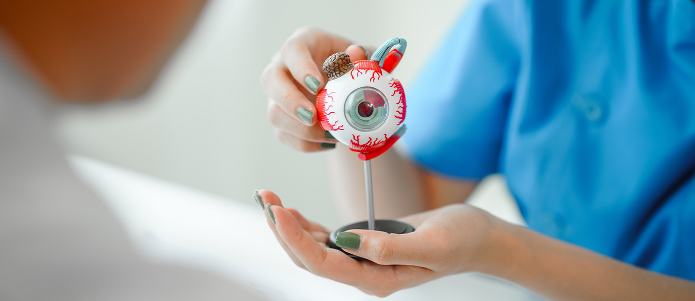 Eye Care Blog | Total Eye Care Centers